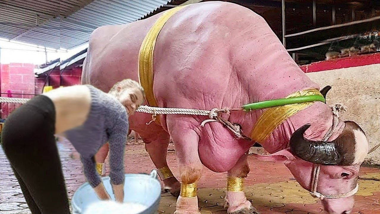 Revelando los misterios de la tierra: descubre la misteriosa belleza de ...