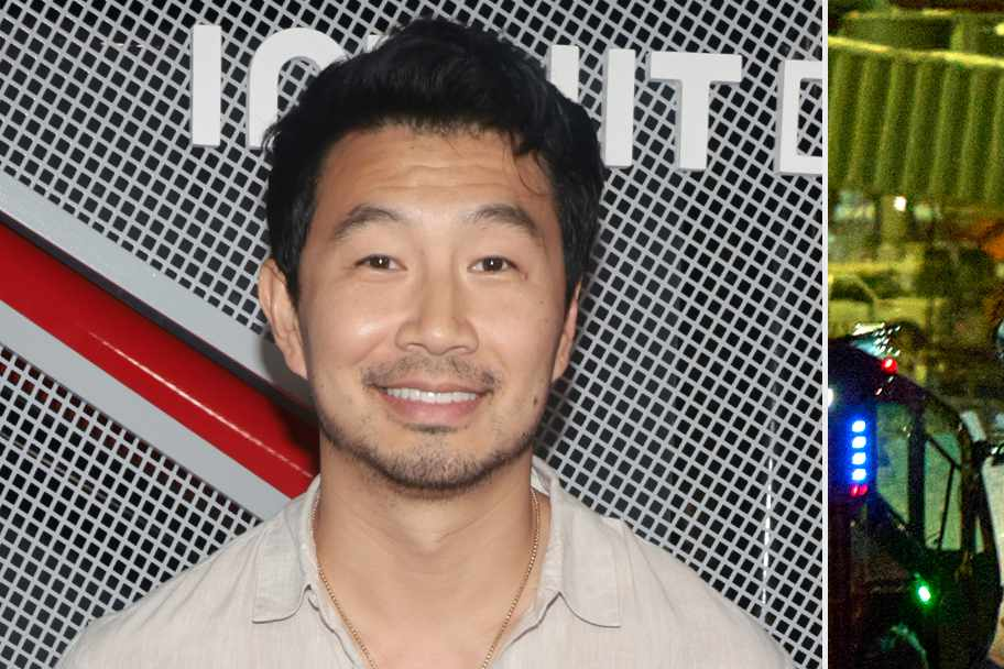 Simu Liu Details 'Crazy Day' Flying Into Toronto Airport After Delta Plane Crash - Luxury House